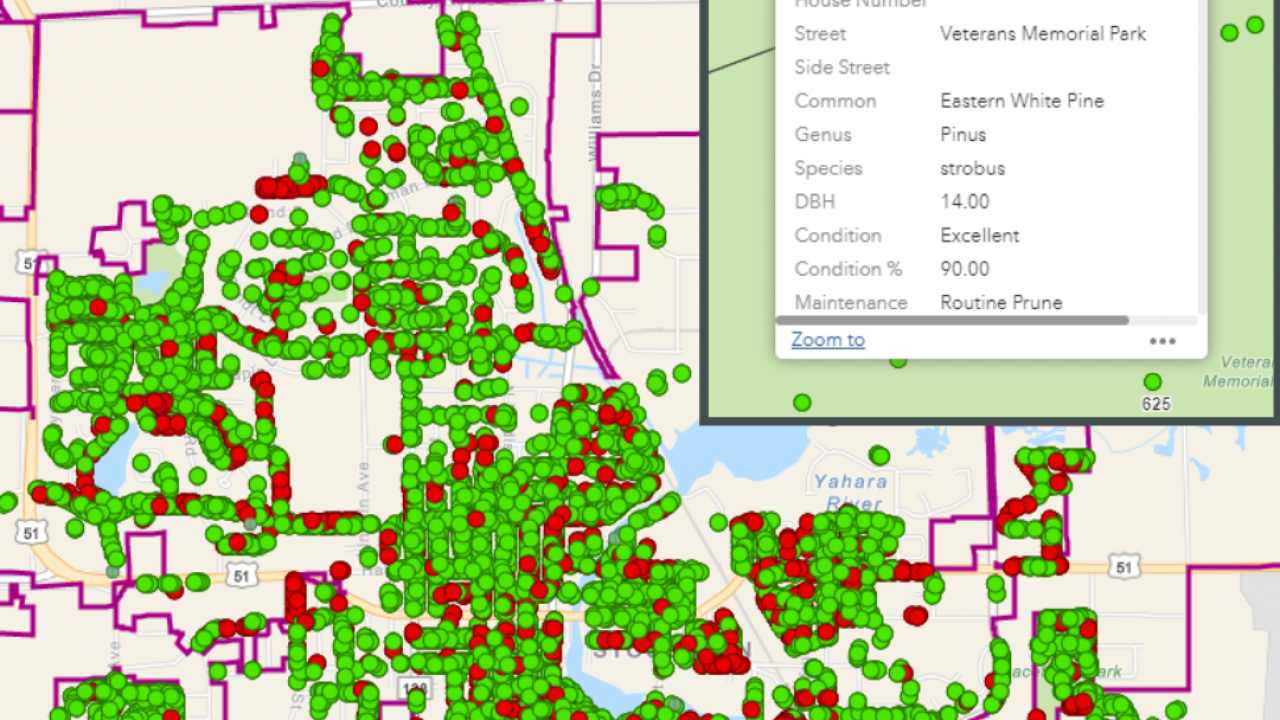 Urban Forestry Management - How GIS Streamlines Tree Inventory and ...