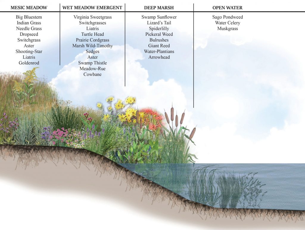 Anchoring Pollution: BMPs for stormwater site design, conveyance ...