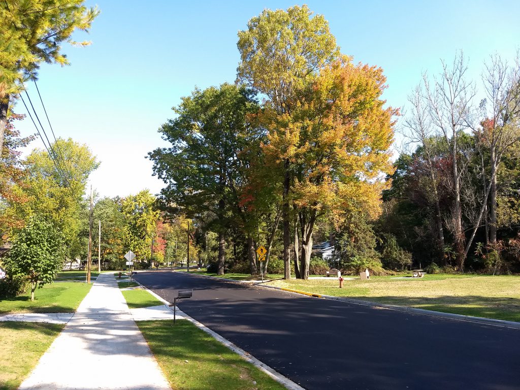 Birch Street & Division Street Reconstruction - MSA